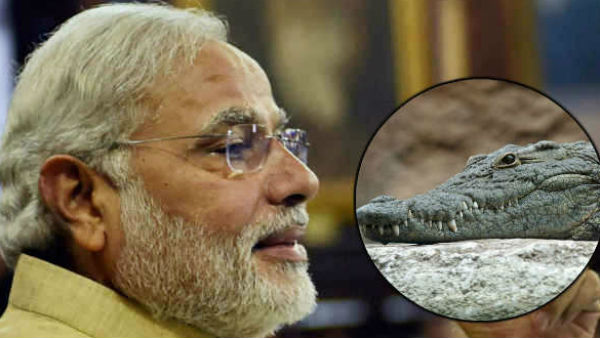 Birthday Special: જ્યારે બાળ નરેન્દ્રએ પકડી લીધું મઘરનું બચ્ચું, હીરાબા ...