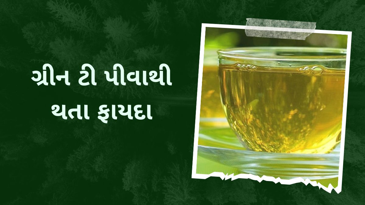 બીમારી નાશક ગુણોનો ભંડાર છે ગ્રીન ટી! ફાયદાઓ જાણી તમે પણ પીવી ચાલુ કરી ...