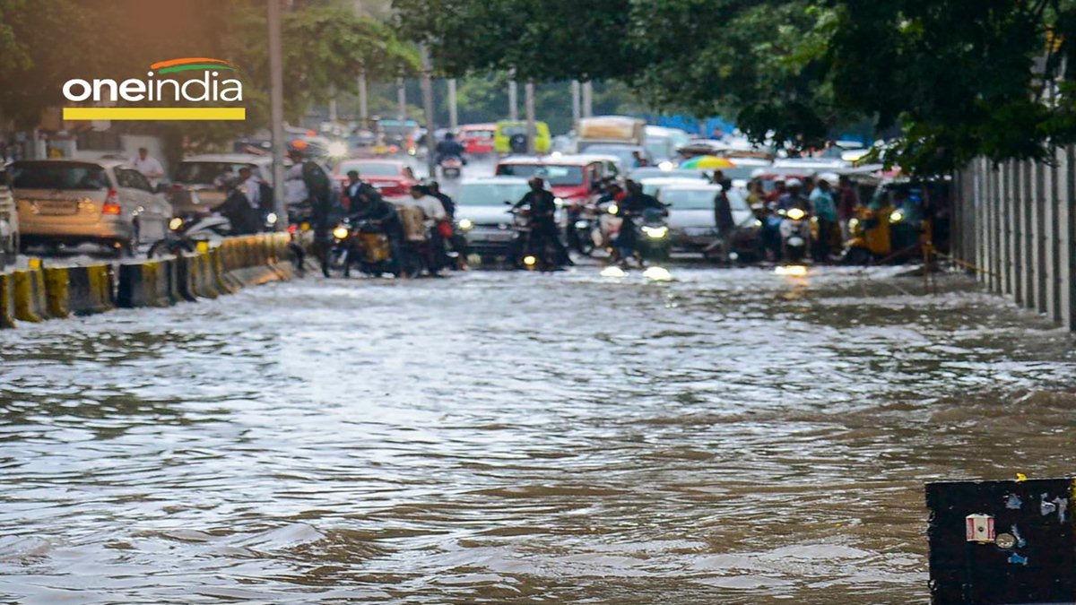 Gujarat Rain: રવિવાર સુધી ઘણા જિલ્લાઓમાં કમોસમી વરસાદની આગાહી | Gujarat ... Gujarat Rain: રવિવાર સુધી ઘણા જિલ્લાઓમાં કમોસમી વરસાદની આગાહી | Gujarat ...